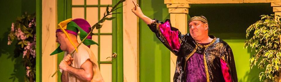 Season Subscriptions - Edmonds Driftwood Players